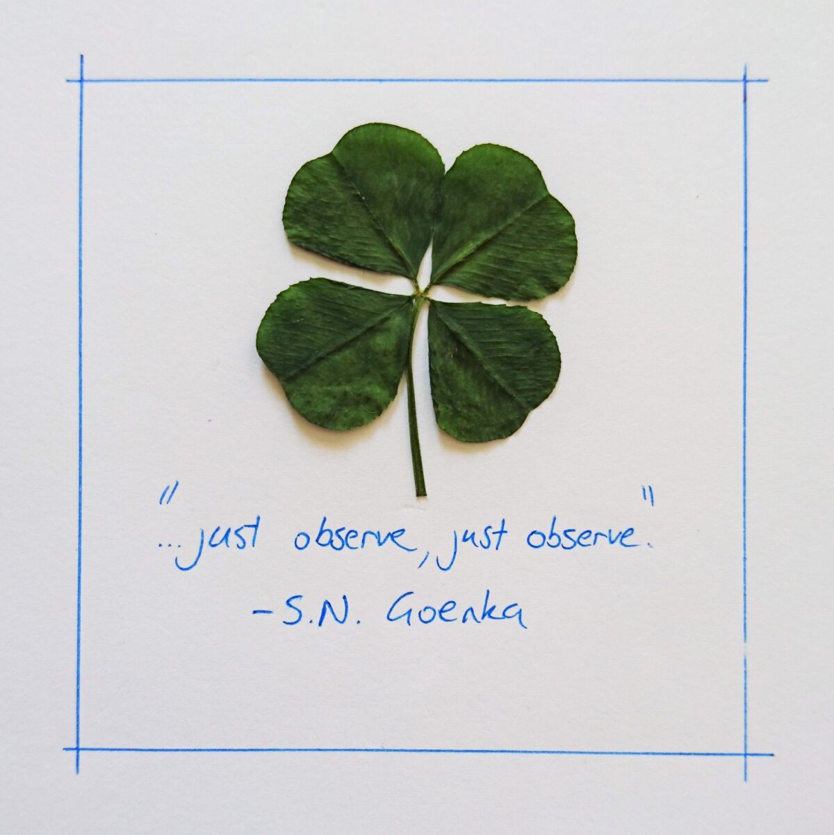 Dhamma Pubbananda Vipassana Meditation Center – Buddhism in America