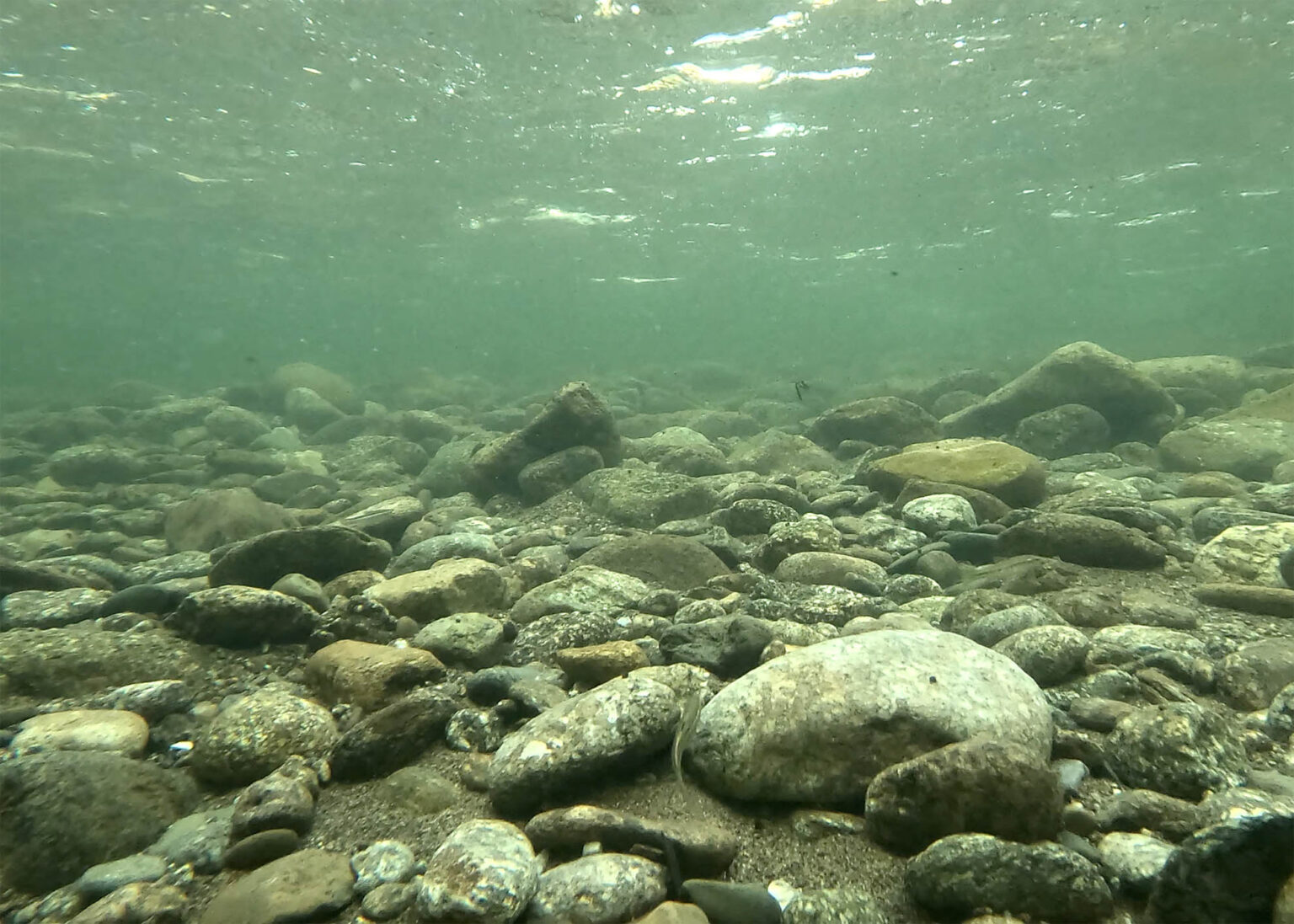 GOING WITH THE FLOW – UNDER THE TYE RIVER – CHUCK’S WONDER WORLD
